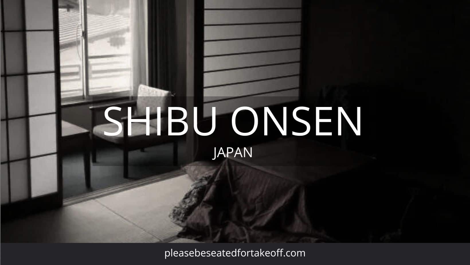 Memories from Japan: Shibu Onsen - Please be seated for Takeoff