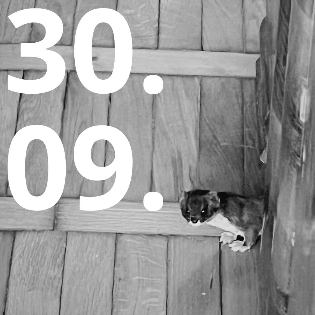 30.9. lumikko olohuoneessa - Please be seated for Takeoff